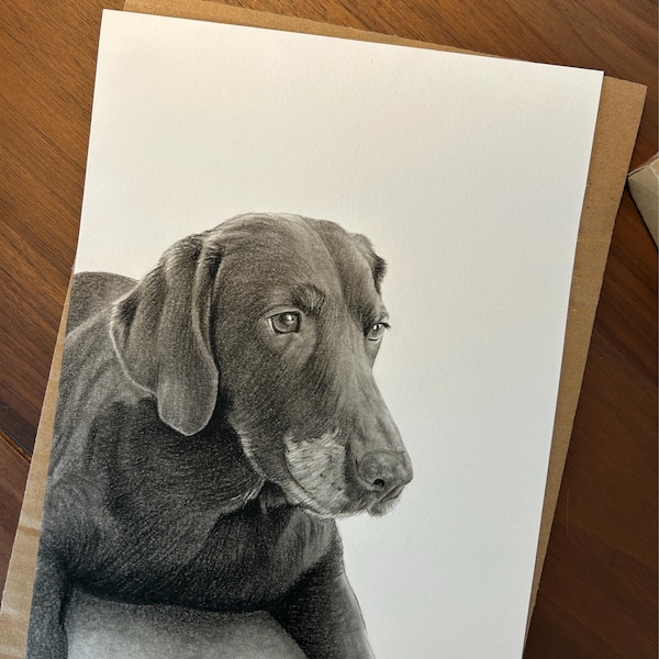 Custom Pet Portrait, Pet Memorial, Gifts, Cats, Cat Drawing, Charcoal ...