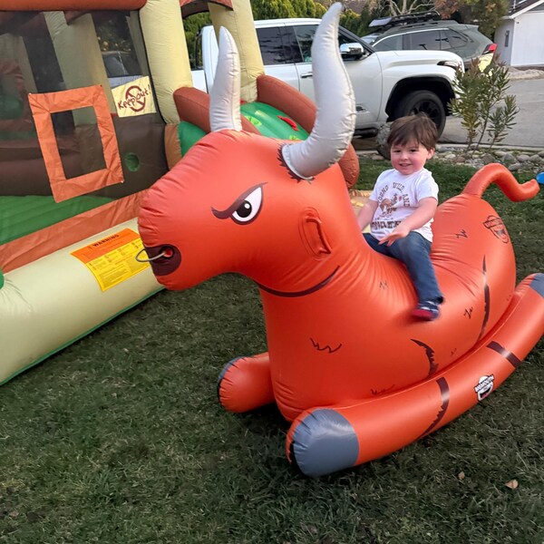 Customized First Birthday T-shirt Wild One, Custom With Name on Back ...