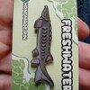 Largemouth Bass Fish Lapel Pin - Etsy