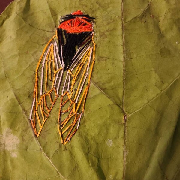 PDF Cicada Embroidery Pattern and Instructions Downloadable Cicada - Etsy