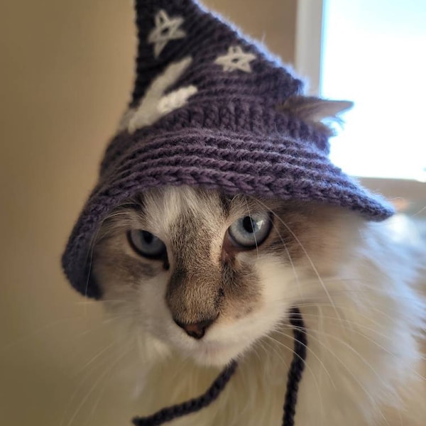 Dark Grey Wizard Hat for Cat, Halloween Wizard Pet Costume, Dark Grey ...