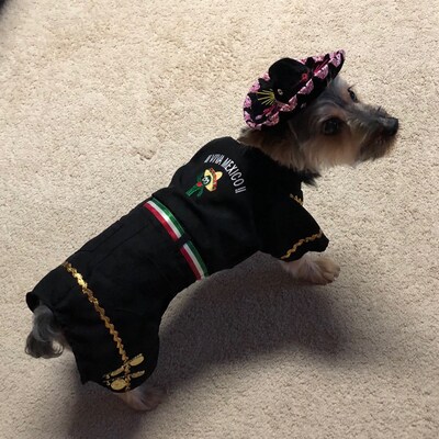 Mariachi Dog Costume/ Mariachi Outfit for Dogs/ Mexican Dog Costume ...