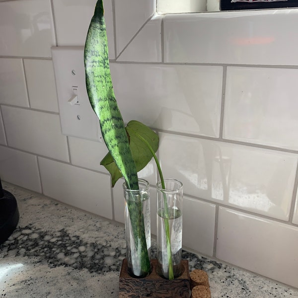 Wooden Anxiety Fidget | Sensory Object | Mental Health Accessory ...