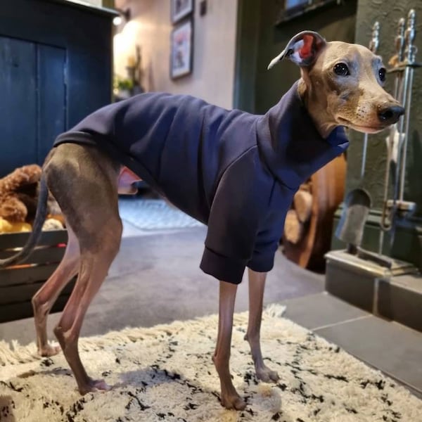 Sewing Pattern for Italian Greyhound Coat / Jacket / Waterproof ...
