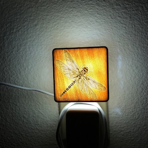 Dragonfly Night-light, Wall Art, Bug, Insect Lamp - Etsy