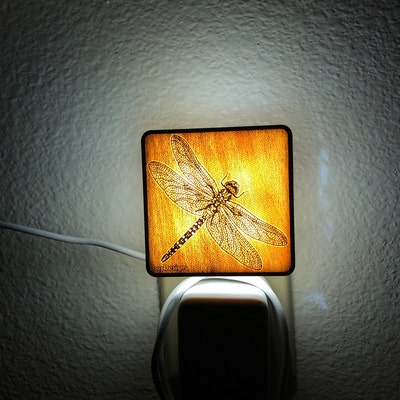 Dragonfly Night-light, Wall Art, Bug, Insect Lamp - Etsy