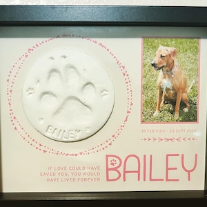Pet Memorial Paw Print Holder Shadow Box Two Paw Prints Pet - Etsy