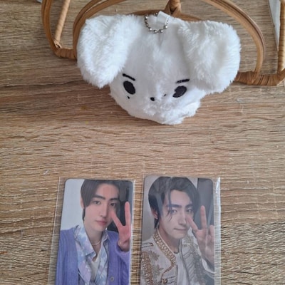 Enhypen En-dolls Animal Fanmade Plushie Jungwon Heeseung Jake Jay ...