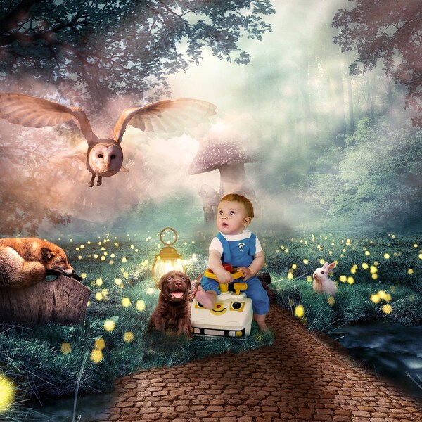 Fantasy Forest Digital Background; Composite for Photography; Animal ...