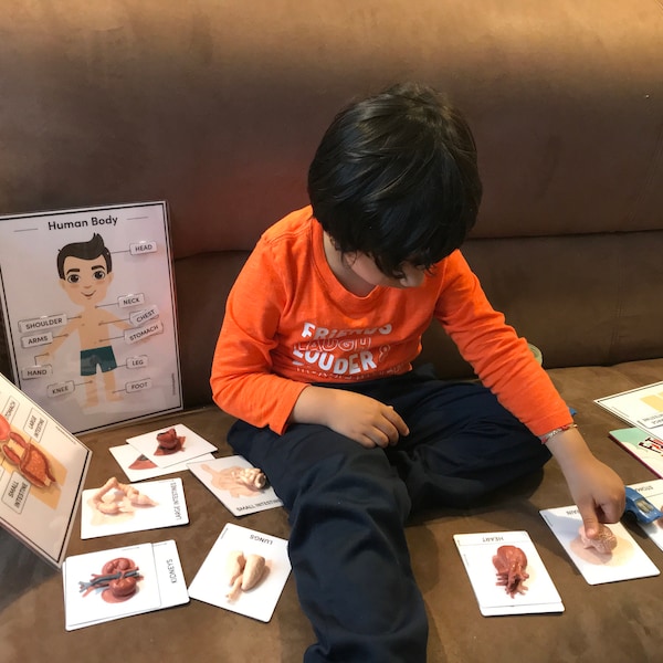 Body Parts Cards Montessori Materials Homeschool Body Part Real ...