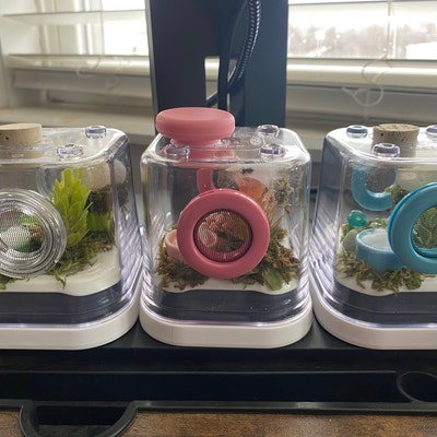 Jumping Spider Enclosure 5x5x9 Spider House, Spider Tank, Spider ...