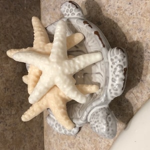 Starfish Soap Set of 5 Seastar Soap Seashell Soap Beach Soap Ocean Soap ...