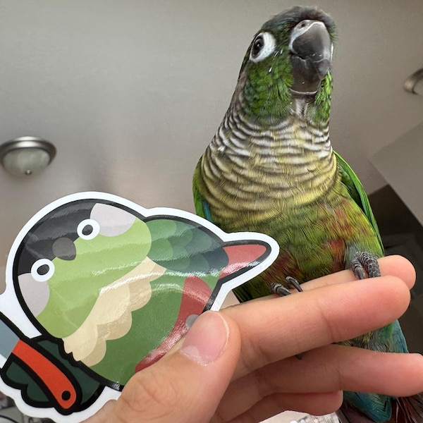 Bird Mochi Poster - Etsy