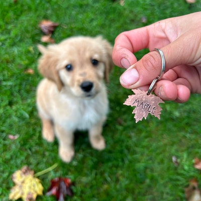 You're a Gem / Custom Hand Stamped Dog Tag, Personalized Metal Pet ID ...