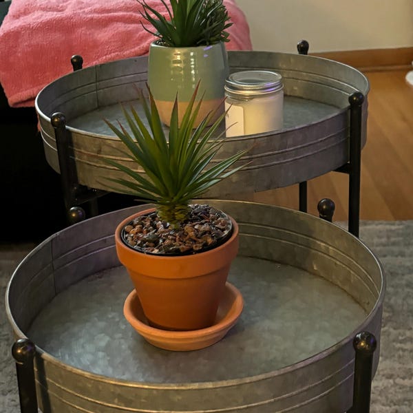 SECRET STASH Faux Succulent Hide-a-key Pot 7-1/2 Tall X 3-1/2 Wide hide ...