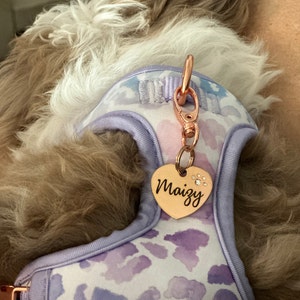 Swivel Clasp Easy Dog Tag Changer Dog Collar Id Tag Clip or Lobster ...