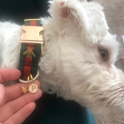 Personalized Pet Charm, Personalized Dog Charm, Personalized Pet Collar ...