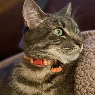 Pink Roses Cat Collar With Bell Cat Breakaway Collar Custom - Etsy