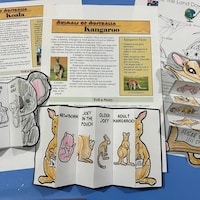 Foldable Duck Life Cycle Learning Activity for Kids | A4 and 11x8.5 ...