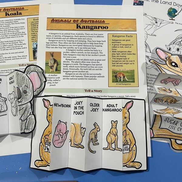 Cactus Life Cycle Learning Activity for Kids | A4 and 11x8.5 Inch ...