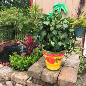 ZEST POTS Lightweight Pot Planter Modern Indoor/outdoor - Etsy