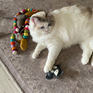 Cat Teaser Wand, Cat Toy Star, Cat Toys Wand, Cute Cat Toys, Cat String ...