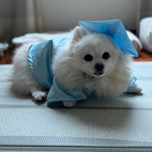 Alien Dog Costume, Toy Story Alien Dog Outfit, Halloween Dog Outfit ...