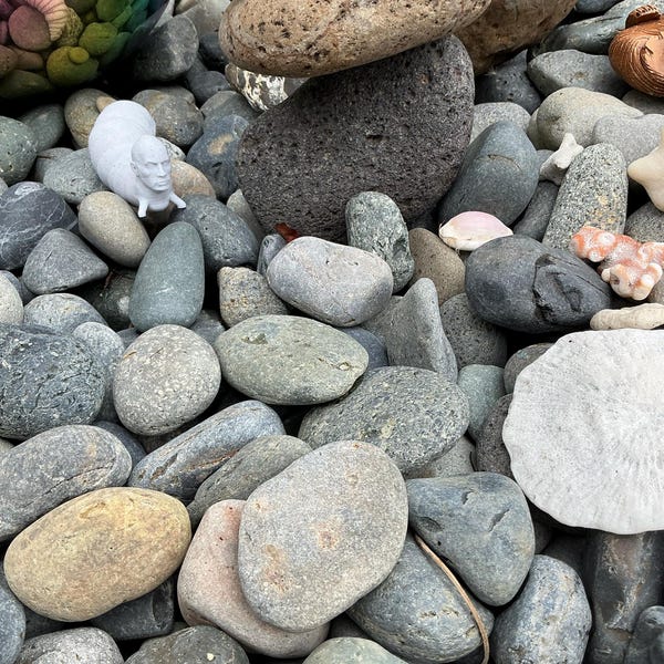 The Rock Fidget Slug - Etsy