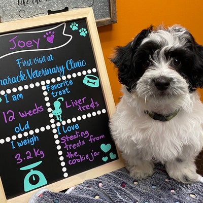 Veterinary First Visit Chalkboard Vet Visit Chalkboard Pets First Visit ...