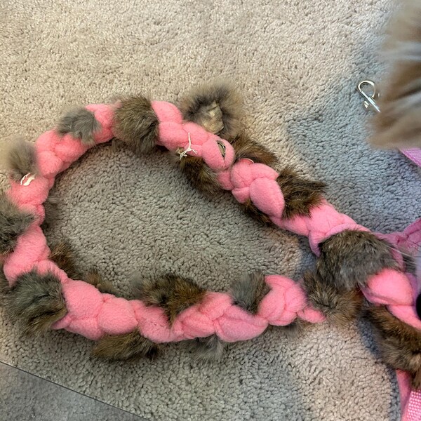 Custom Ribbon Display, Dog Award Ribbon Display Rack, Dog Rosette ...