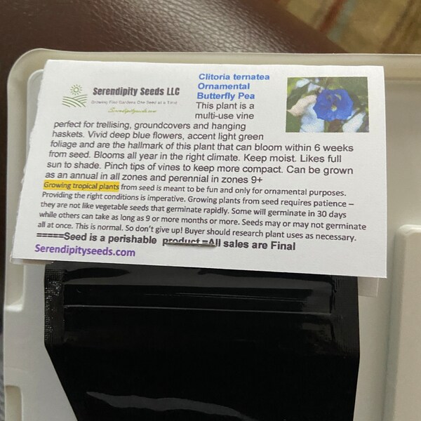 Baobab Tree- 5 Seeds -rare Seed for Tropical Growers -adansonia ...