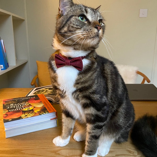 Cat Bow Tie in Vegan Cork Leather to Attach to Cat Collar, Luxury Cat ...