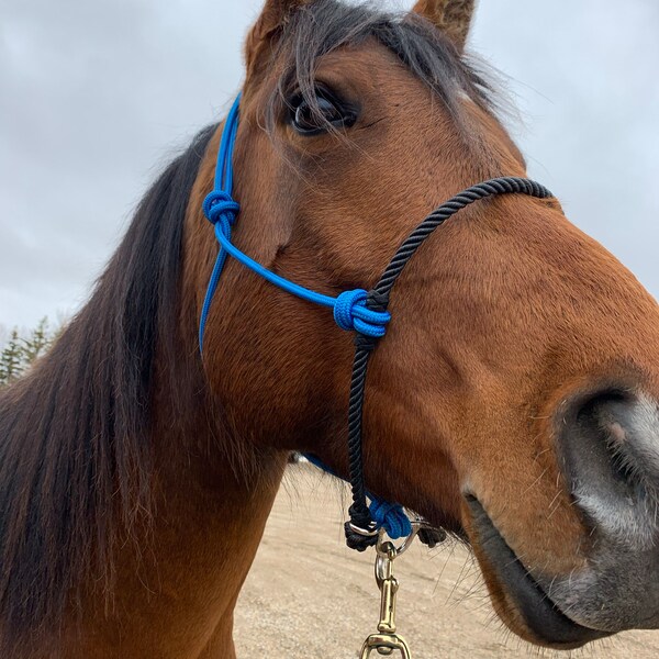 Rope Headstall - Etsy