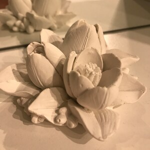 Mermaid Talisman, Sea Ocean Real Shell Bead Chain Sea Terrarium ...