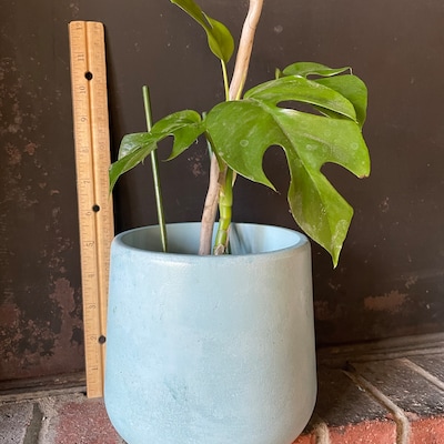 Pendant Lamp Shade Silicone Mold Concrete Lampshade Molds DIY Home ...