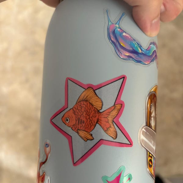 Goldfish Star Sticker | Glossy and Waterproof - Etsy