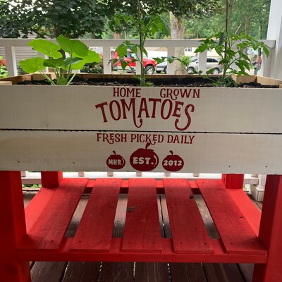 Produce Sign SVG Bundle Sunflower SVG Tomato Pumpkin Svg Garden SVG ...