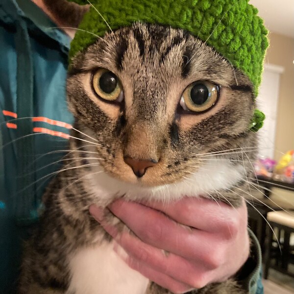 Green Knitted Yarn Frog Hat for Cat or Samll Animal Small and Medium ...