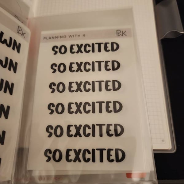 Clear Cover ONLY Made to Fit the planning With K Notebook in Regular TN ...