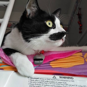 Halo UNSC Dog Tags personalized Stainless Steel or 24K Gold Plated - Etsy