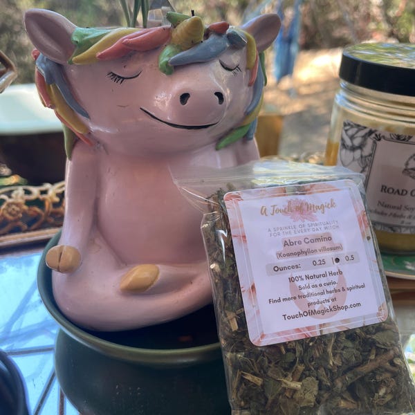 Coleccion De Oraciones Escogidas SPANISH Allan Kardec Ancestor Worship ...