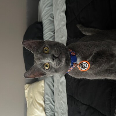 Princess Peach Button, Gamer Pin, Backpack Decoration, Super Mario ...