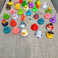 Buck Bronco Ducks Duck Tag for Bronco Rubber Horse Ducks Youve Been ...