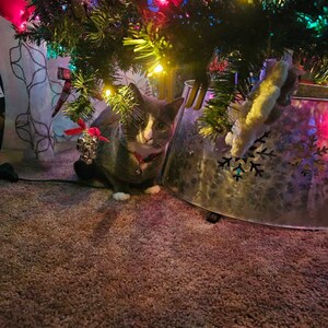 The Cat is Inside or Outside Reminder Sign Cat In/out Wooden Door ...