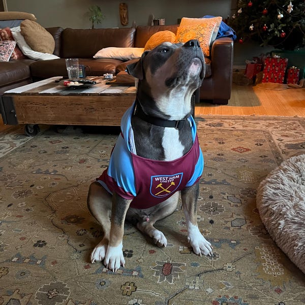 Liverpool FC -inspired Personalised Pet Tank Top With Original FC Logo ...