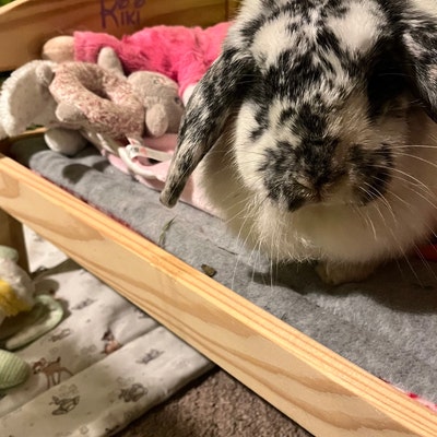 Royal Mail PPI Letter Guide Size Template Post Office Size Guide Small ...