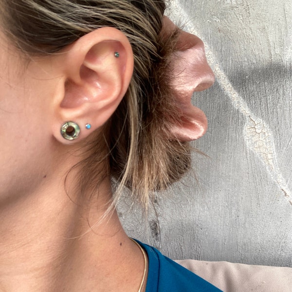 Pair Abalone Steel Shell Screw Fit Steel Tunnels Ear Plugs Gauges 4g 2g ...