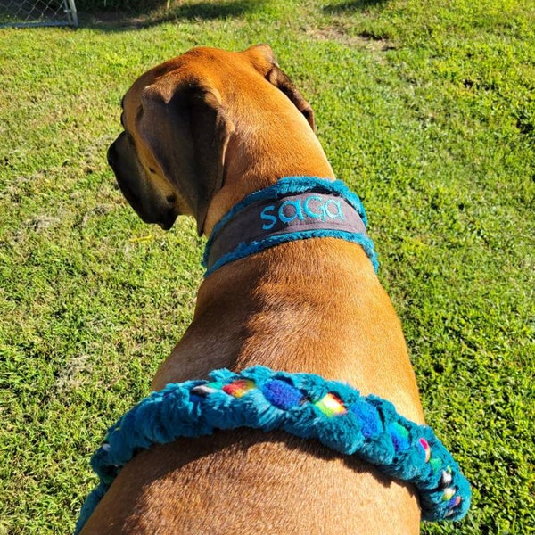 Bold and Bright Ring Lead With Tug! - Agility Lead-barn Hunt Lead ...