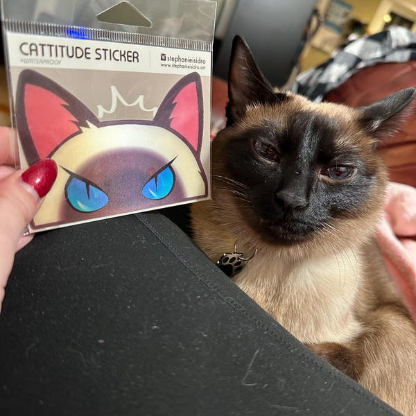 Grey Tabby Cat Peeker Vinyl Sticker 3D Motion/animated | Cats Stickers ...