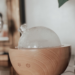 Willow Glass Dome & Wood Grain Diffuser Essential Oil - Etsy